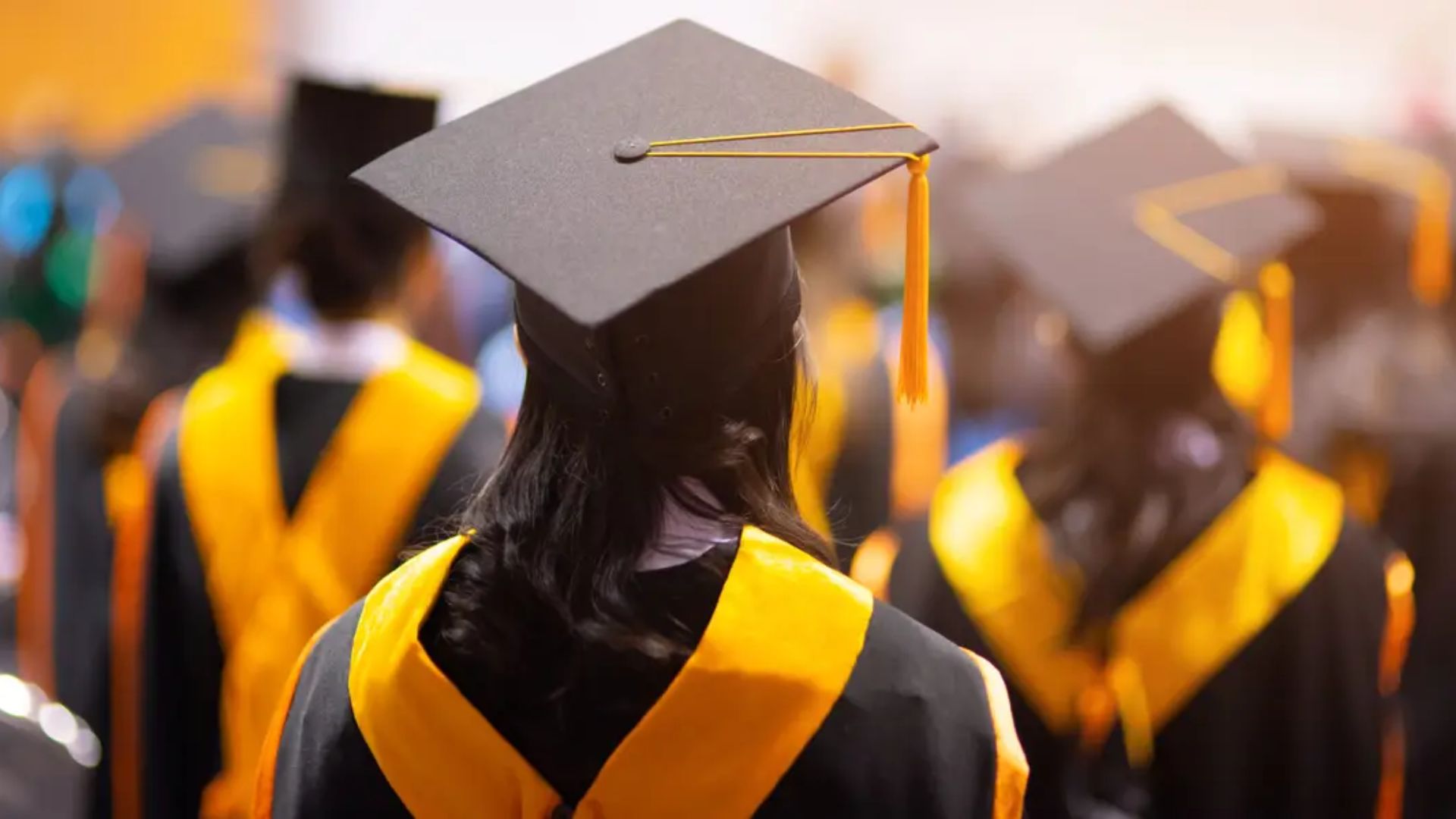 სკოლის აკადემიური მოსწრების გათვალისწინება უმაღლესი განათლების ...